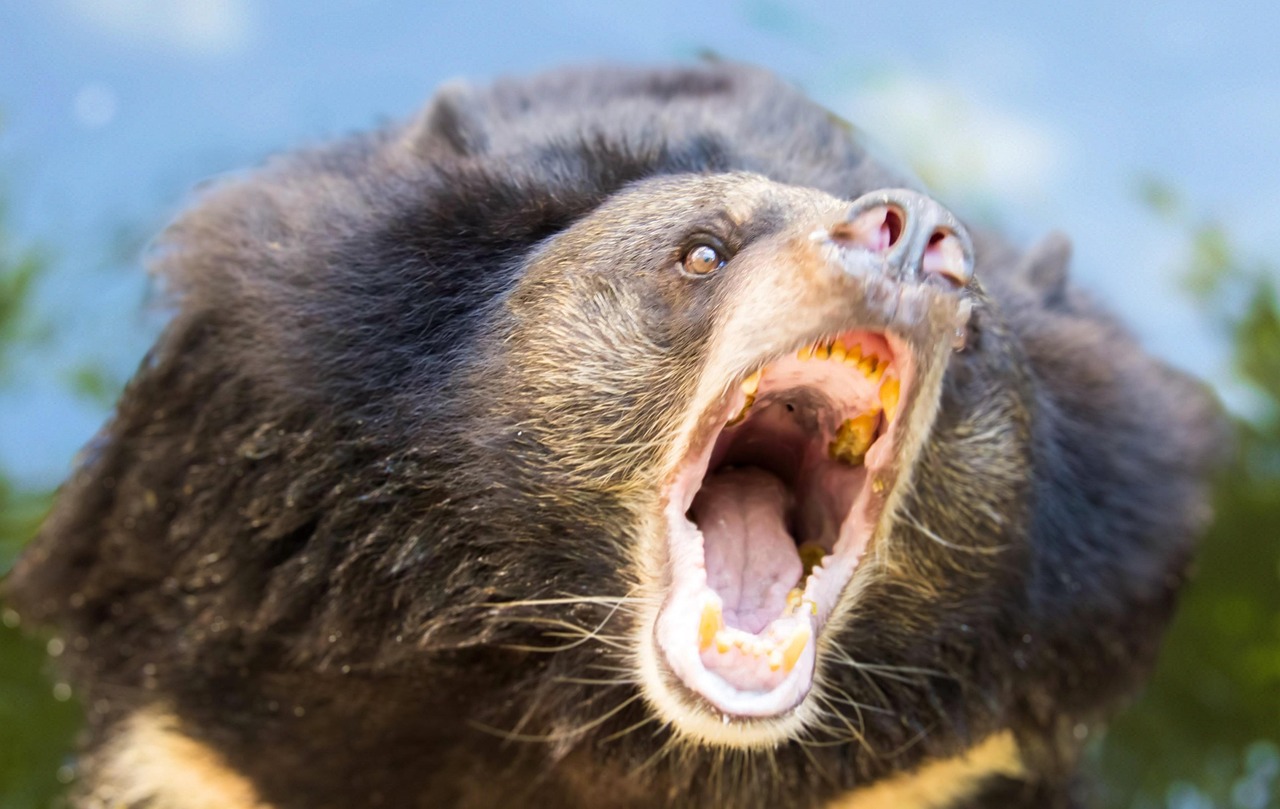 10 Signs You're About to Become the Target of a Predator (And What to ...