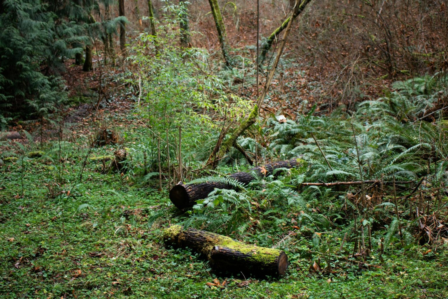 10 Steps to Build a DIY Underground Bushcraft Survival Shelter ...