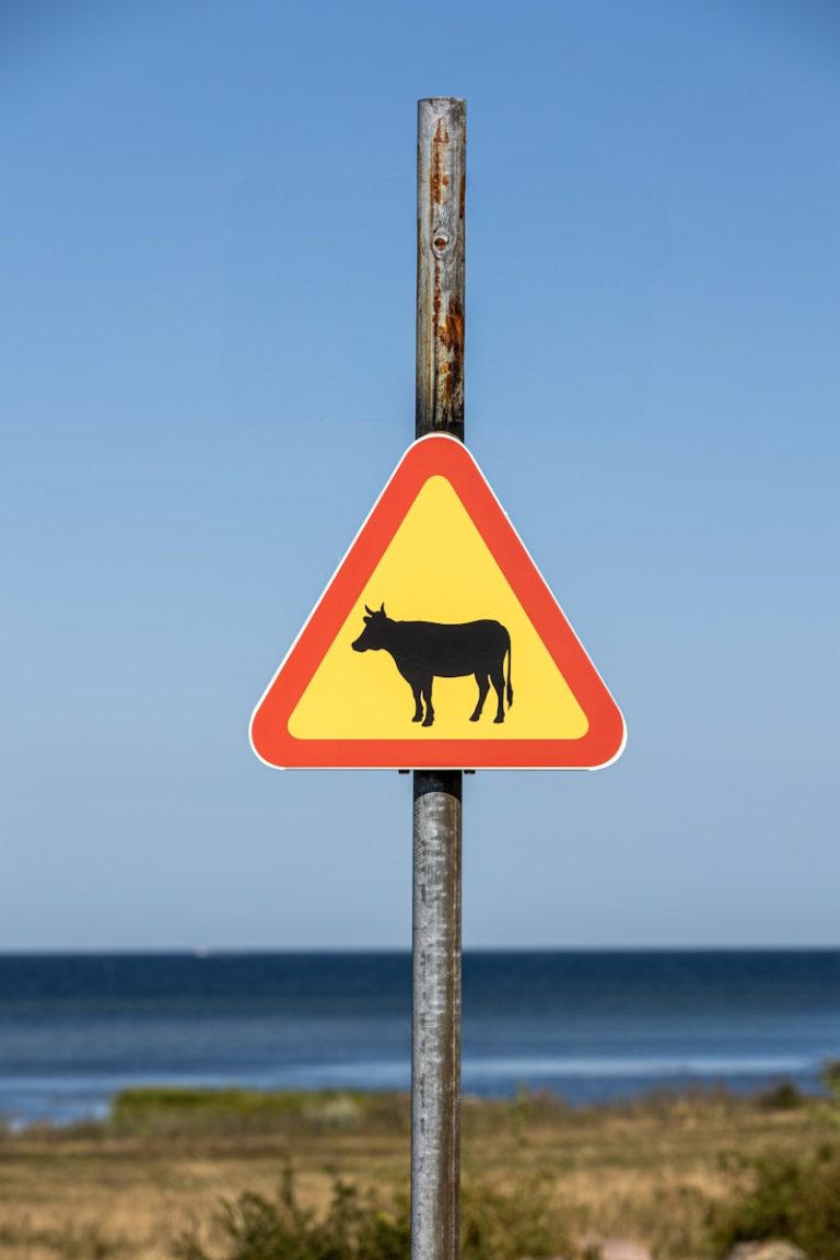 20 Strange and Unexpected Road Signs Spotted in the U.S. - Bushcraft ...