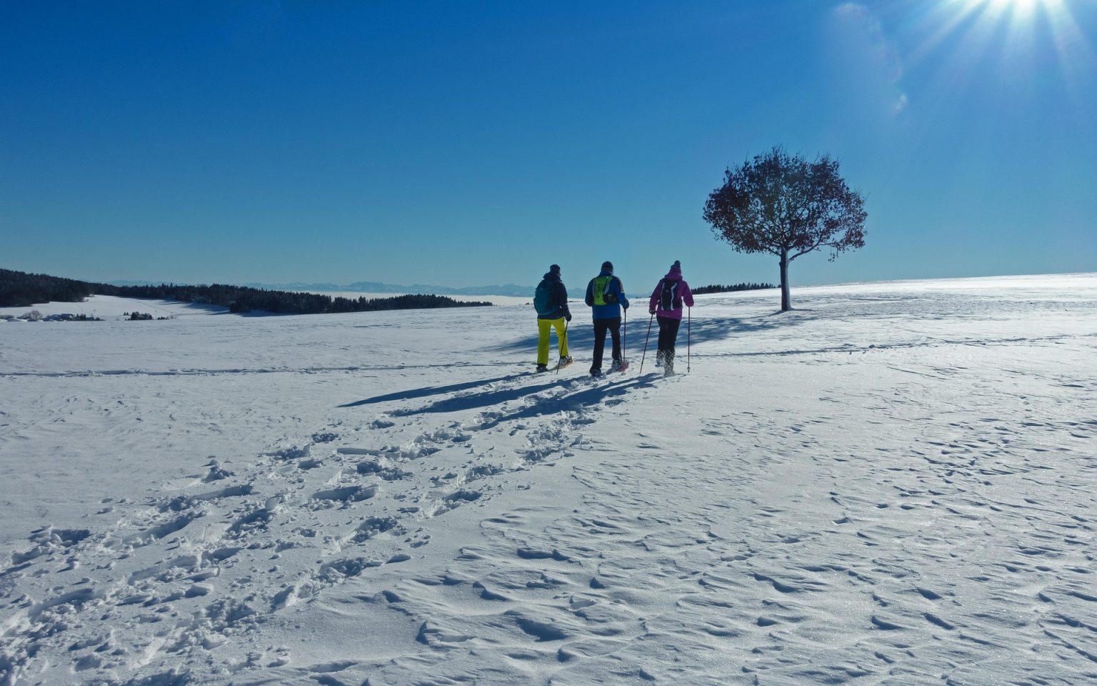 Why Fresh Snow Makes Trails Harder to Follow - Bushcraft Base Camp