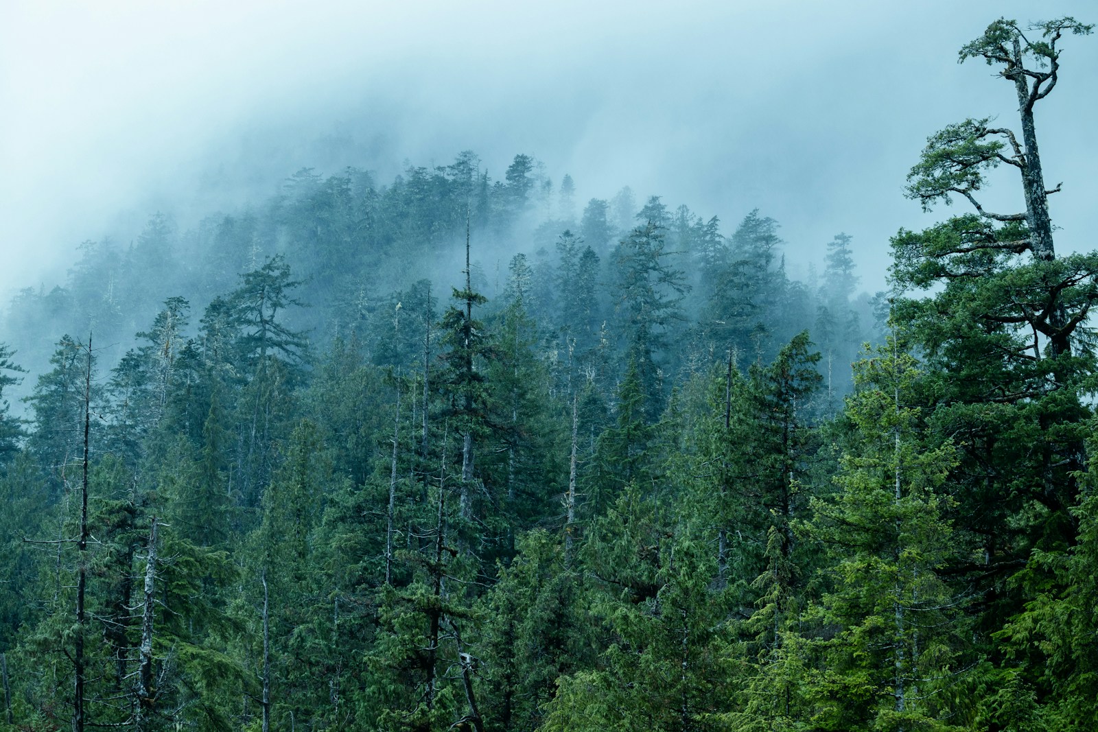 5 Signs You Should Head Back on Your Hike - Bushcraft Base Camp