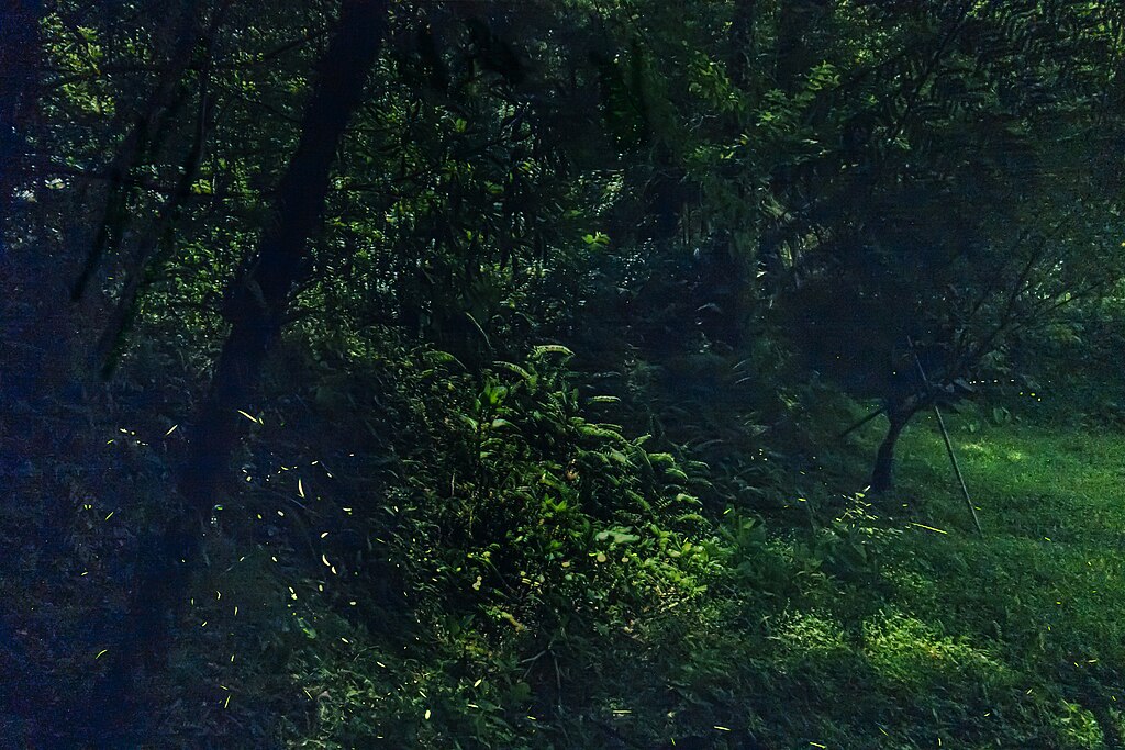 10 Wildlife Sightings That Were Common in the 1970s But Rare Today ...