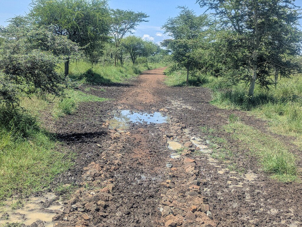 8 Trail Hazards You Can Detect Before You See the Path Ahead ...