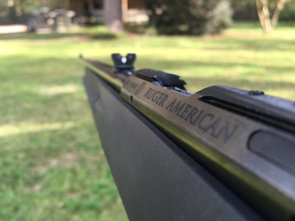 8 Rifles Known for Excellent Accuracy in Forest Hunting - Bushcraft ...