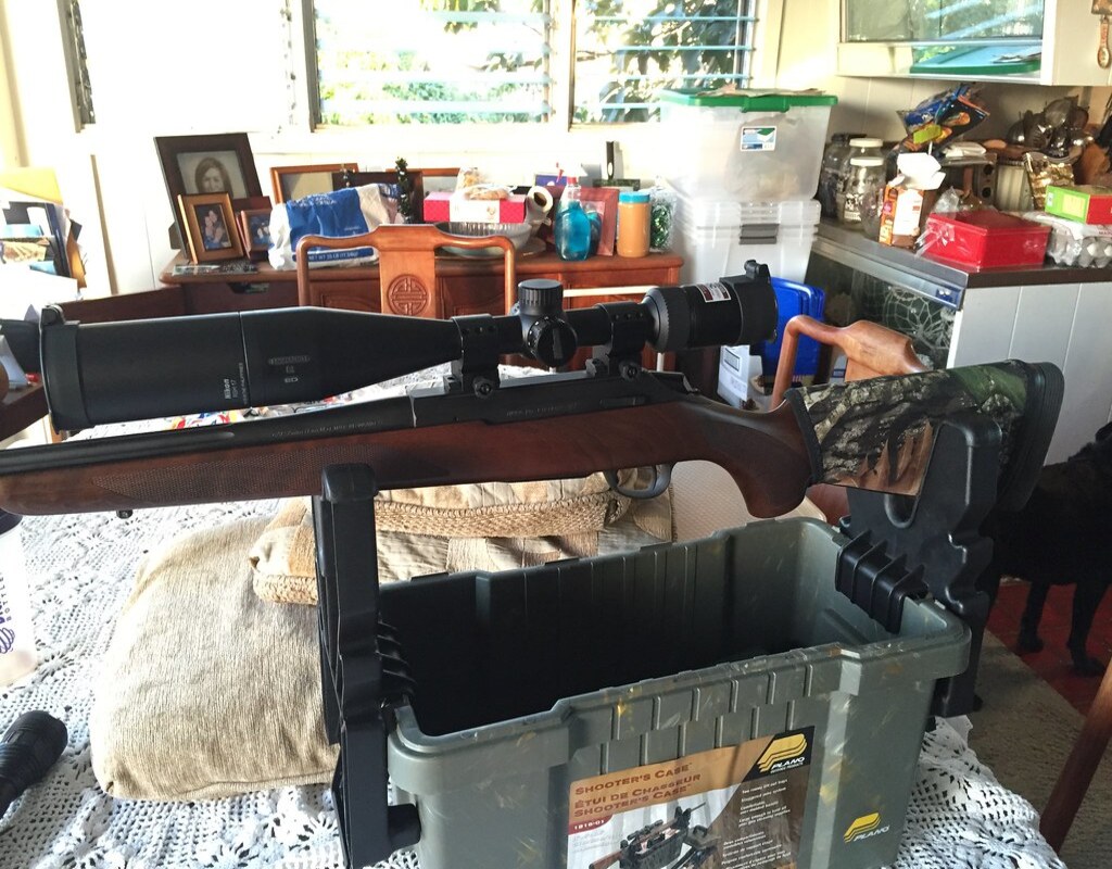 8 Rifles Known for Excellent Accuracy in Forest Hunting - Bushcraft ...