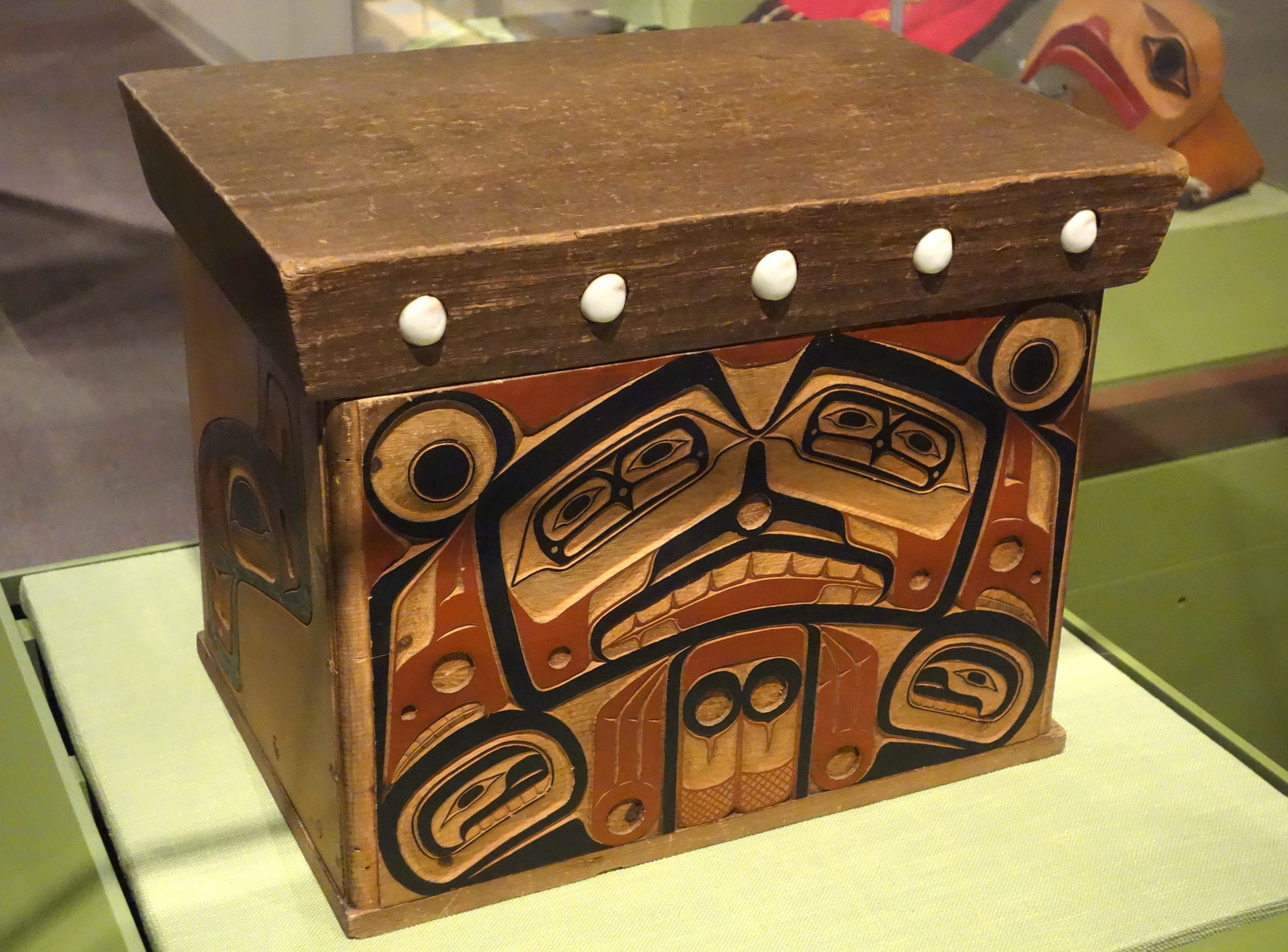 11 Bark-Based Containers You Can Make From Specific Trees - Bushcraft ...