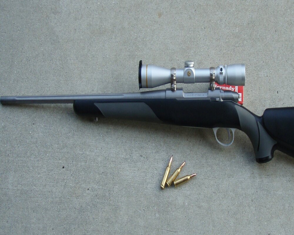 20 Rifle Calibers Ranked for Whitetail Deer at Short Ranges - Bushcraft ...