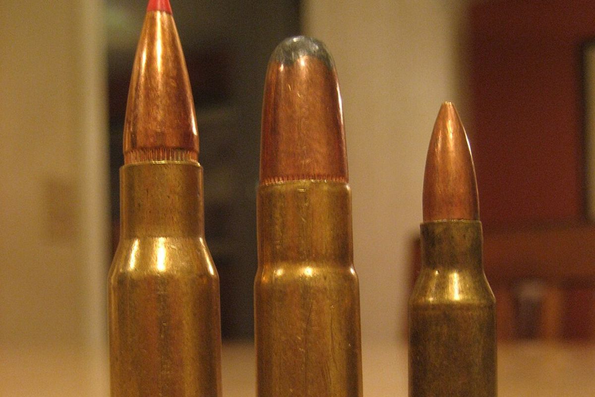 7 Rifle Calibers That Perform Better in Thick Brush Than Long-Range ...