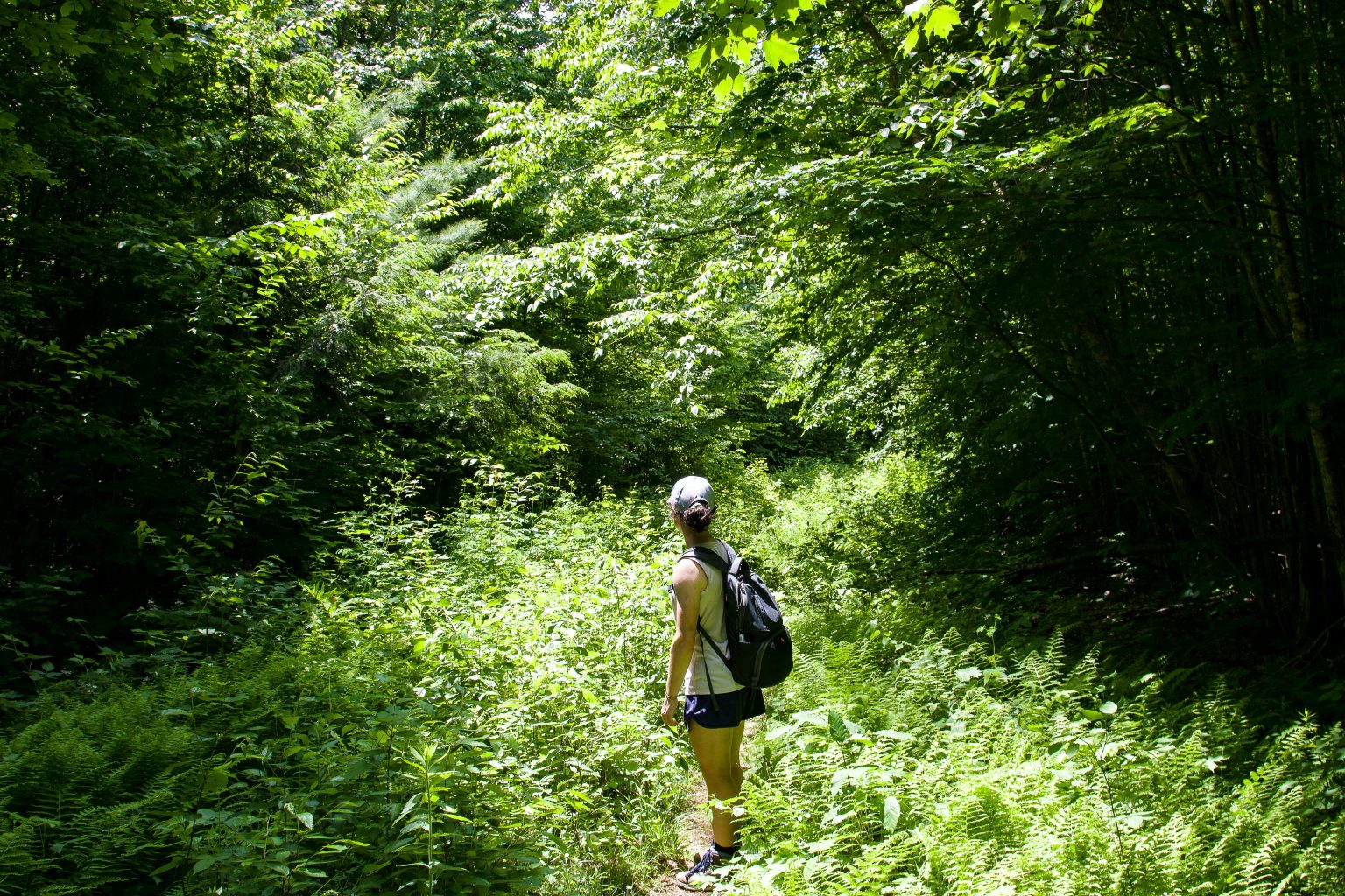 11 Survival Situations Where the “Safest” Option Isn’t Obvious ...