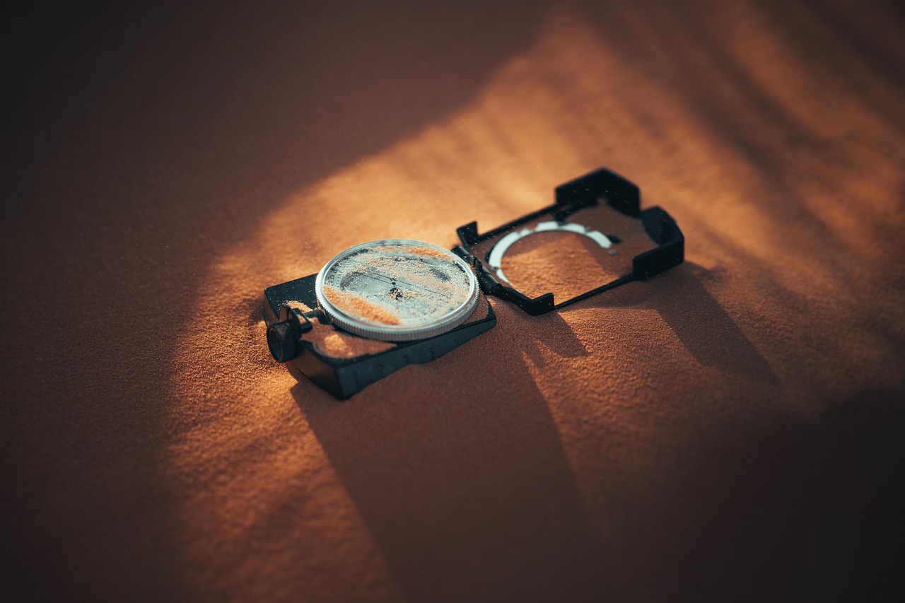 12 Survival Priorities That Change in Desert vs. Forest Environments ...