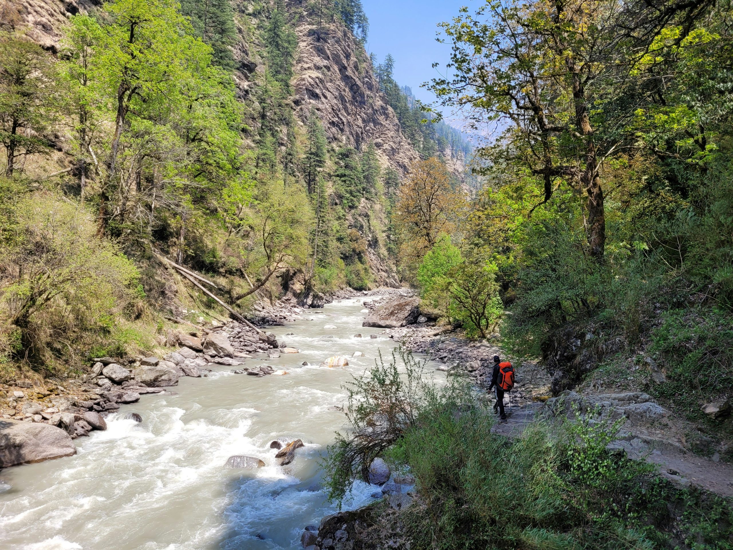 11 Survival Situations Where the “Safest” Option Isn’t Obvious ...