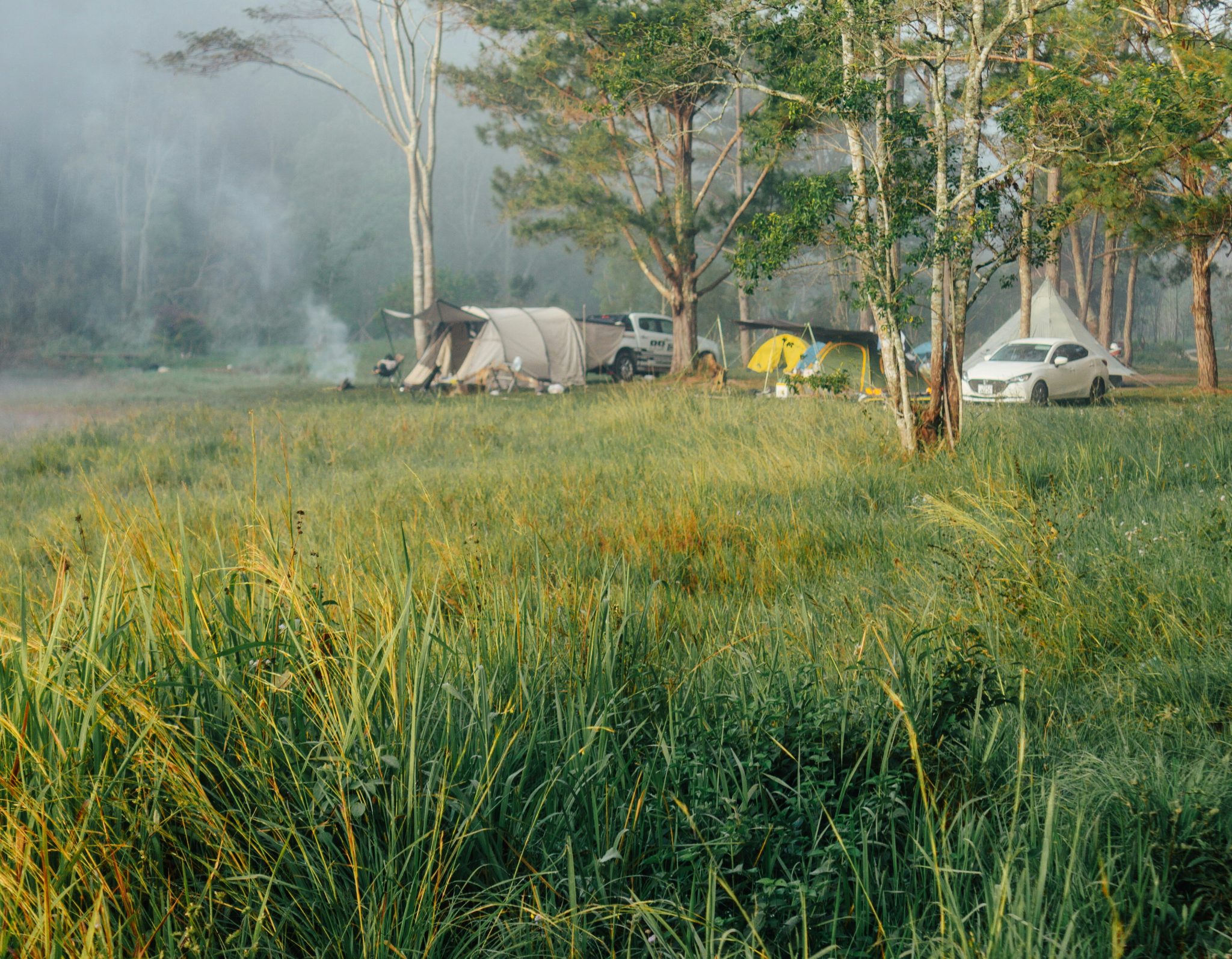 How Ground Vegetation Reveals the Best Bushcraft Camp Locations ...