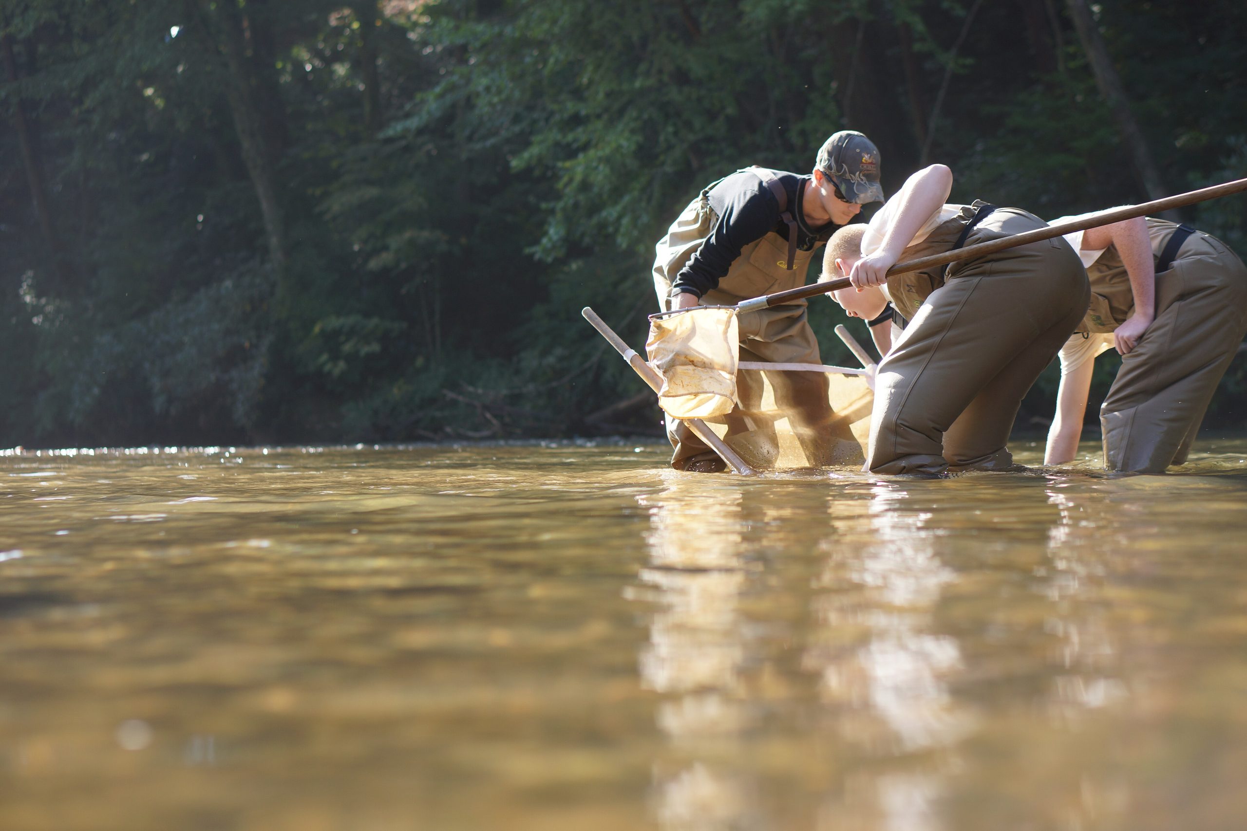 11 Outdoor Skills Appalachian Kids Learned Young - Bushcraft Base Camp