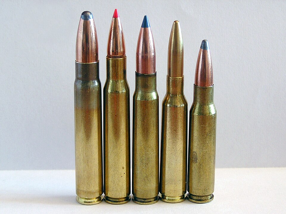 5 Hog Hunting Cartridges That Get the Job Done - Bushcraft Base Camp