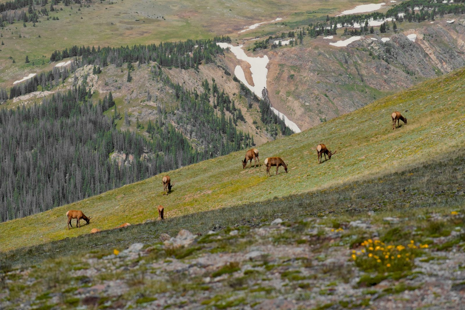 7 Best Outdoor Activities to Build Hunting Skills in 2026 - Bushcraft ...