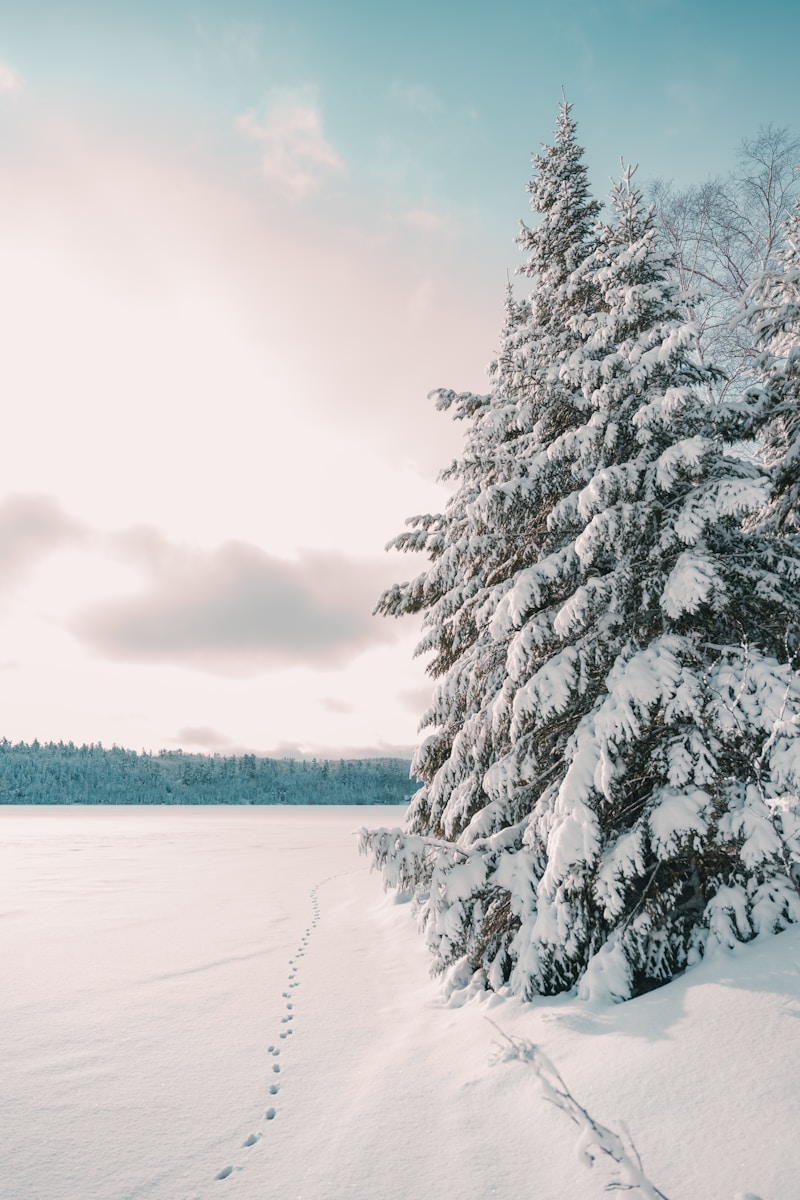 10 Signs You're About to Become the Target of a Predator (And What to ...