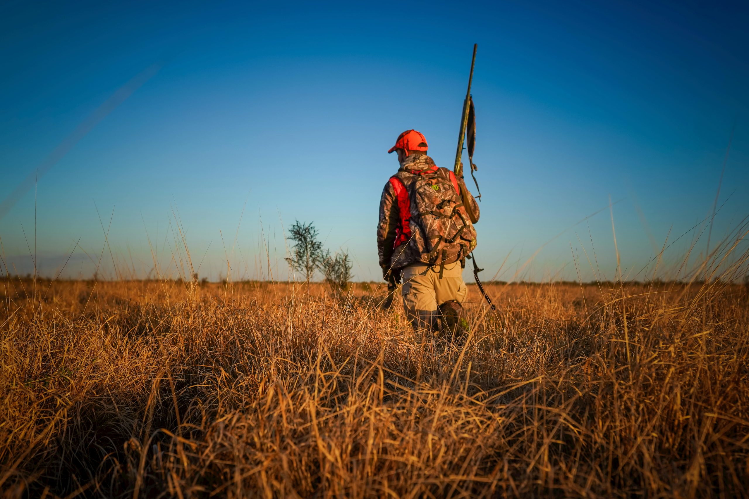 7 Field Dressing Habits Passed Down Without Question - Bushcraft Base Camp