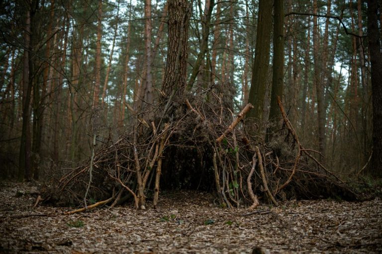 12 Shelter Building Errors That Leave Beginners Exposed In The Middle