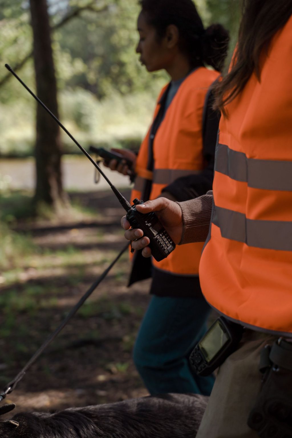 8 Fish and Game Laws That Changed in 2026 and Every Serious Hunter ...